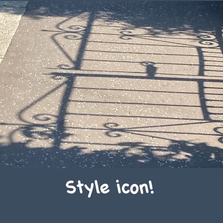 Instagram - A Moment Of Your Time - ANYONE AT HOME